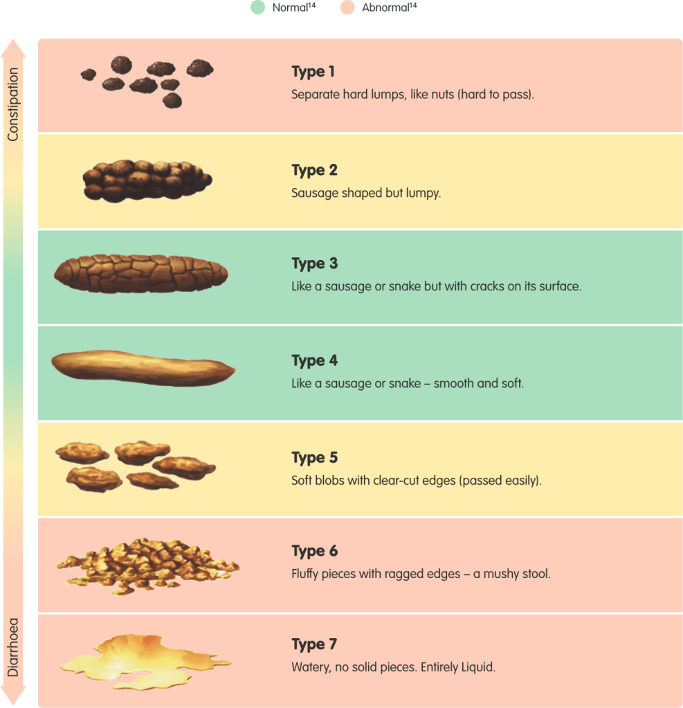 What does a healthy Stool look like? - Laxido