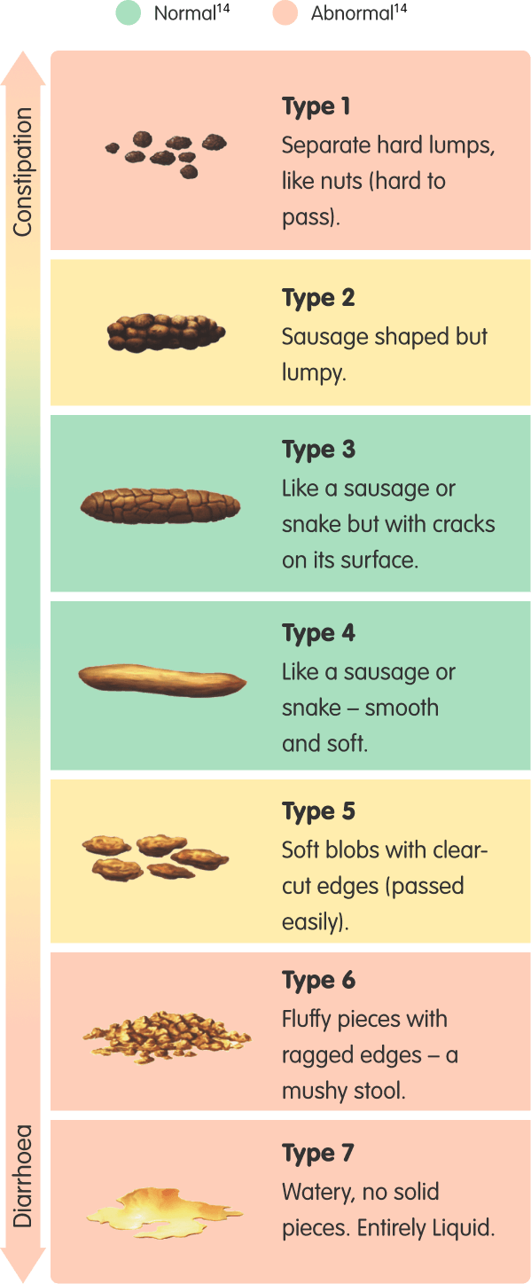 What does a healthy Stool look like? - Laxido